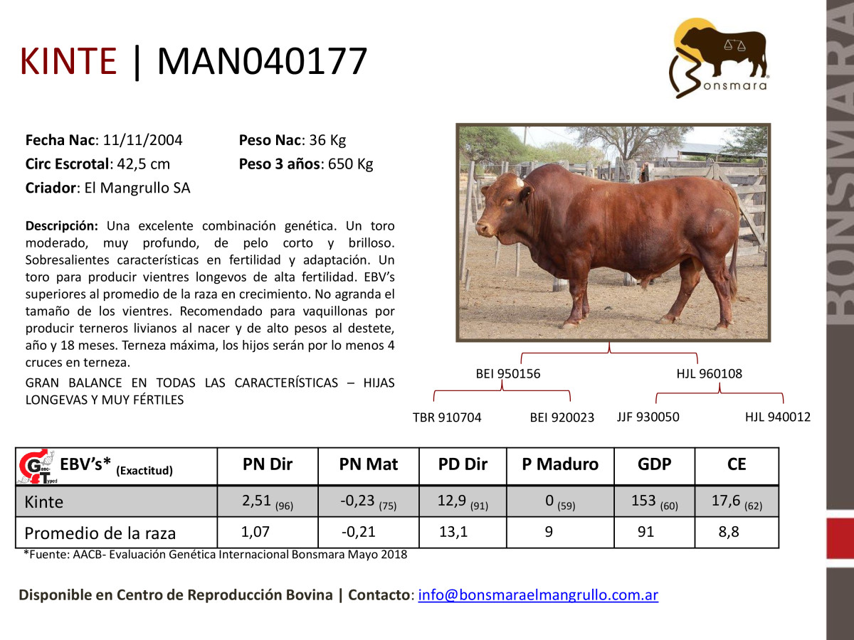 Catálogo Bonsmara | Bonsmara