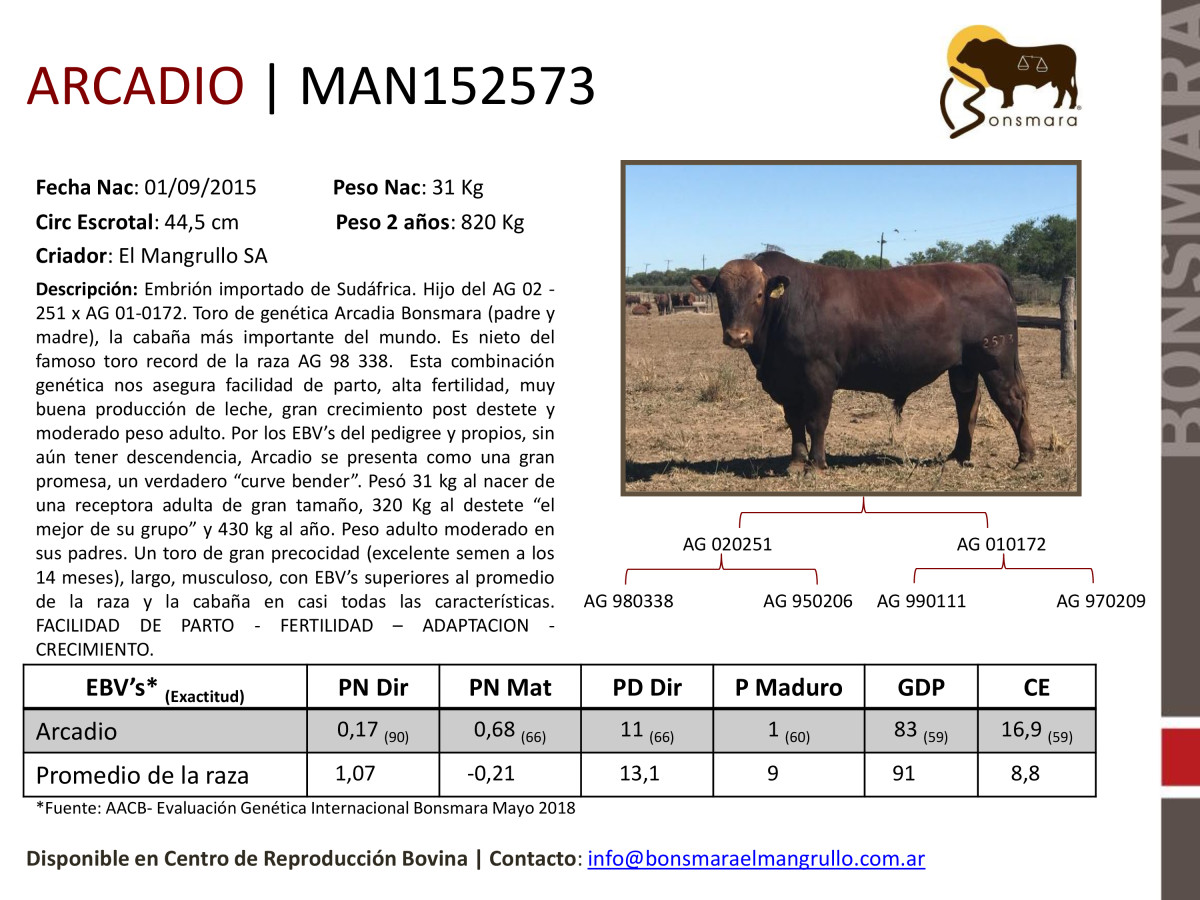 Catálogo Bonsmara | Bonsmara