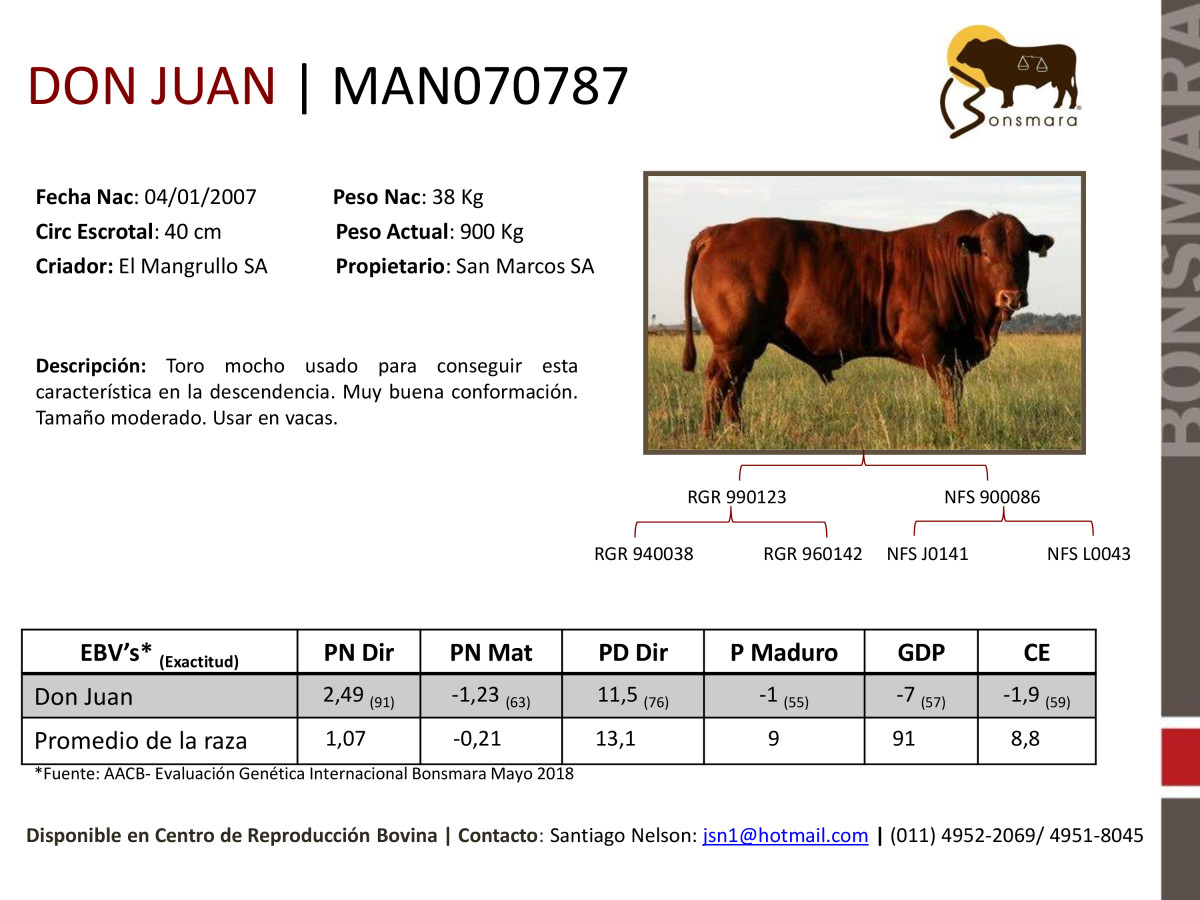 Catálogo Bonsmara | Bonsmara