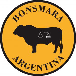 Buena noticia para la raza Bonsmara en Argentina | Bonsmara